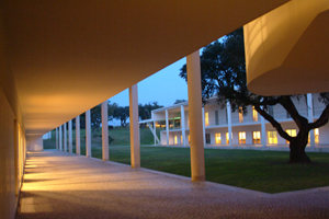 Moodle IPS: All courses